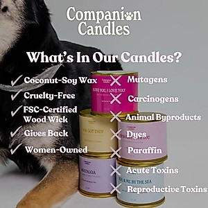 Companion Candles Pet Safe Wood Wick Candle - “You Got This!” Citrus & Tropical Fruits, Coconut Soy Wax Scented, Over 50 Hr Burn Time, Non-Toxic, Women-Owned, Made in USA (11.8 oz.)