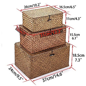 Hipiwe Set of 3 Natural Seagrass Storage Baskets with Lid - Large Handwoven Wicker Storage Bins Rectangular Household Organizer Boxes Shelf Wardrobe Organizer, Coffee