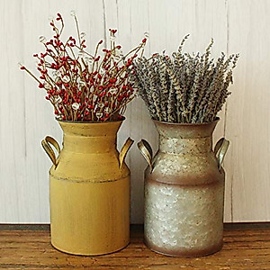 CVHOMEDECO. Galvanized Metal Milk Can, Old Rustic Primitives Jug Vase for Home and Garden Décor. Rusty