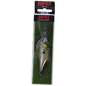 Rapala Dives-to 16 Live DT16RSL: Dives-to 16 Live River Shad, One Size