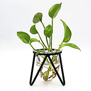 Plant Terrarium with Metal Stand, Desktop Air Planter Bulb Glass Vase for Indoor Live Hydroponics Plants Home Garden Office Decoration