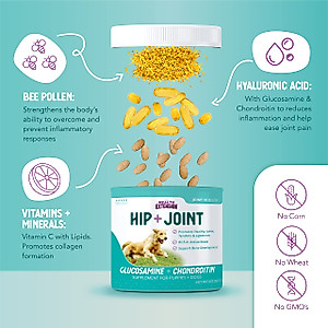 Health Extension Chondroitin with Glucosamine for Dogs, 16oz - Arthritis Pain Relief, Joint & Hip Supplement, Cheese Flavored Powder