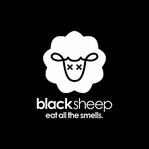 Black Sheep - Bamboo Charcoal Natural Air Purifying Bag - Eliminates Odors in Homes, Cars, Bags, Shoes, Closets & More - 200g (4)