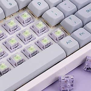 EPOMAKER Wisteria 39gf Linear Mechanical Keyboard Switches, 5-Pin Pre Lubed Creamy Switch, 30 PCS, with POM PTFE Stem, 20.4mm Spring, Compatible with MX Keycaps for Gaming Keyboard