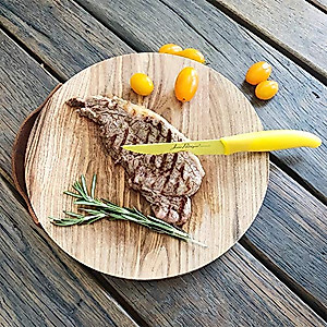 Jean-Patrique Non-Stick Steak Knife 6 Piece Set | Steel Blades Protector FREE Perspex Clear Knives Block