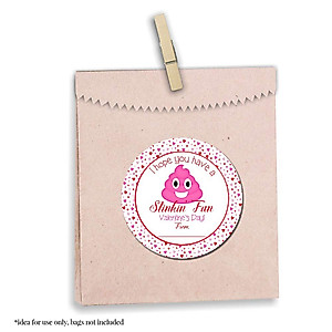 Stinkin’ Fun Pink Poop Emoji Valentine Party Favor Sticker Labels for Girls, 40 2" Party Circle Stickers by AmandaCreation, Great for Classroom Valentines, Envelope Seals, Gifts & Treats
