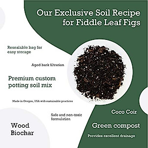 Premium Fiddle Leaf Fig Tree Potting Soil - Perfect for Indoor Plants