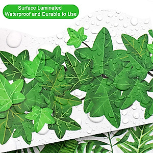Cinvo Bulletin Board Border Trim Boho Greenery Tropical Leaves Ivy Leaves Double Sided Border Die-Cut for Bulletin Boards Black Board Desks Wall Decals Back to School Classroom Decoration (3" x 50’)
