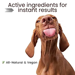 Exfoliating Dead Sea Salt & Coconut Oil Dog Scrub - Deep-Cleansing, Anti-Itch, Moisturizing with Oatmeal & Essential Oils