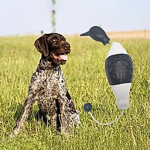 LKJYBG Dead Duck Dummy Bumper Floating Waterfowl Bite-Resistant Artificial Dead Bird Fetch Toy Chewing Toys Pet Products for Hunting Retriever Dog Training White and Black Duck