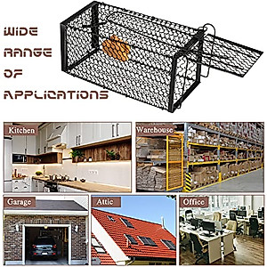 Humane Rat Trap Chipmunk Squirrel Rodent Trap Foldable Mouse Trap Small Live Animal Mouse Voles Hamsters Live Cage Rat Mouse Cage Trap for Mice Easy to Catch and Release, 9.4x4.7x4.7 Inches (4 Pcs)