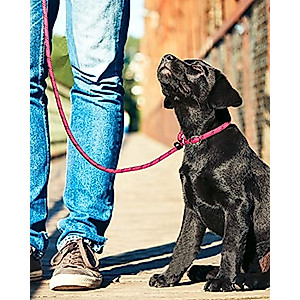 TagME Slip Leads for Dogs, 6 FT Heavy Duty Dog Leash with Padded Handle, Strong Rope No Pull Pet Training Leash for Small Dogs,Hot Pink