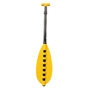 Paddle Pump