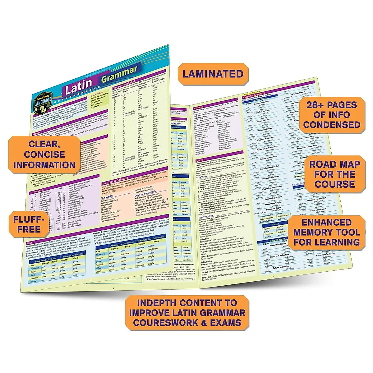 Latin Grammar (English and Latin Edition) QuickStudy Laminated Reference Guide (Quickstudy Language)