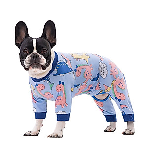 Qunaawa Dog Recovery Suit for Surgery Small Medium Dogs Onesie, Cute Soft Dog Pajamas Bodysuit Cone Alternative Prevent Licking Dog Recovery Suit Female Male (Small, Dinosaur Blue)