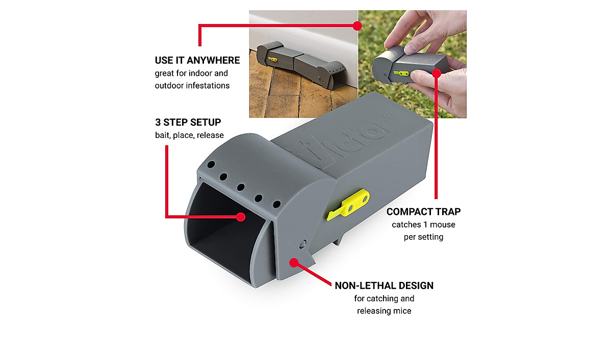 Victor Live Catch Mouse Trap - Humane & Easy to Use