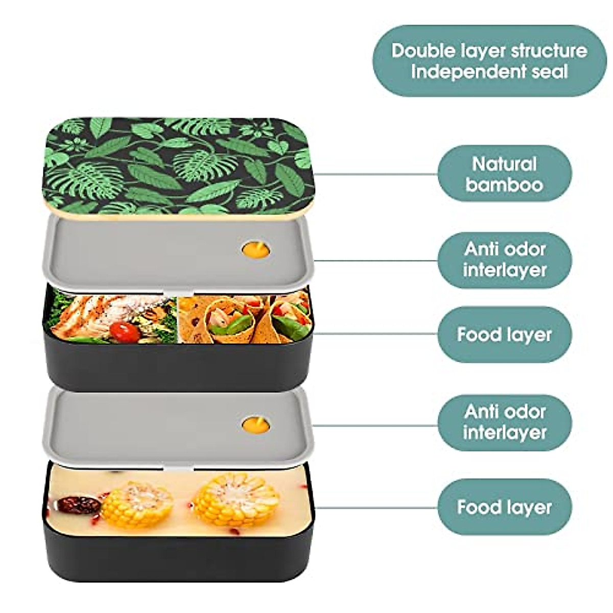 Tropical Pattern with Monstera Leaves Bento Lunch Box Leak-Proof Bento Box Food Containers with 2 Compartments for Offce Work Picnic Black-Style