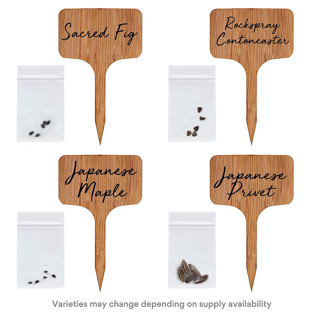 Premium Bonsai Tree and Deluxe Succulent & Cactus Seed Starter Kit - Includes a Grow Guide