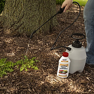 Spectracide Weed And Grass Killer Concentrate 16 Ounces, Use On Patios, Walkways And Driveways