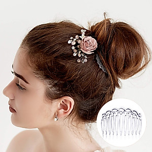 WILLBOND 16 Pieces Women Hair Comb Accessories French Hair Side Combs Plastic Twist Decorative Comb Clips for Women Bridal Wedding Veil Teeth(Black, Transparent, Light Coffee, Dark Coffee)