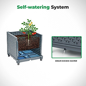 KOBAZ Raised Garden Bed with Tomato Planter Cage, Trellis Planter Boxes for Outdoor Patio Greenhouse Gardening Climbing Vegetables
