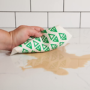 Ecologie Swedish Sponge Reusable Dishcloth, Greenbriar 2 Count