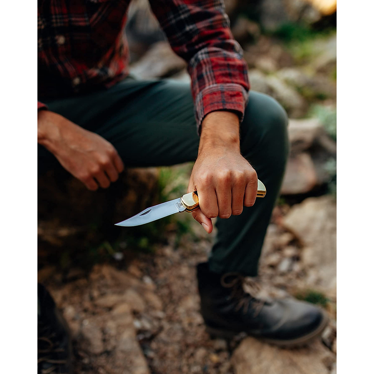 Buck Knives 110 Folding Hunter Lock-back Knife, Brass Bolsters, Ebony Handles, 3-3/4" 420HC Blade with Leather Sheath