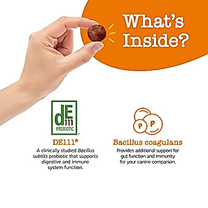 Zesty Paws Pill Wrap Probiotic Paste for Dogs - Immune & Digestive System Support - Bacon Flavor - with DE111 Bacillus subtilis - Pockets Any Pill, Tablet & Capsule for Your Dog - 60 Portions…