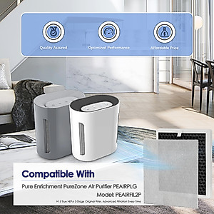 True HEPA Pure-Zone Air Purifier Replacement Filter Compatible with Pure Enrichment PureZone Air Purifier Filter and PureZone 3-in-1 Air Purifier PEAIRPLG, 2 H13 True HEPA Filter & 8 Extra Pre-Filter