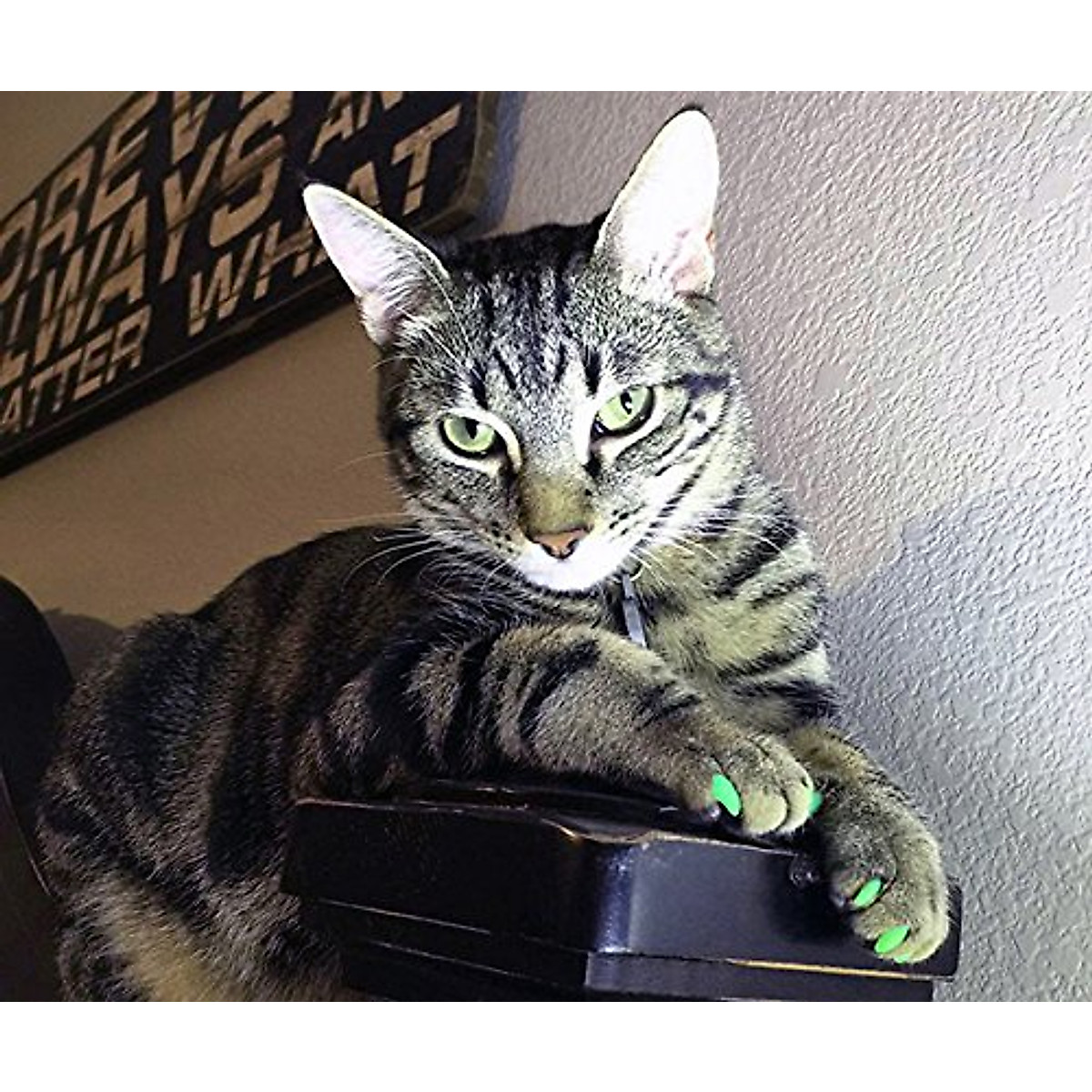 Purrdy Paws 100 Pack Soft Nail Caps for Cat Claws Margarita Glitter Small