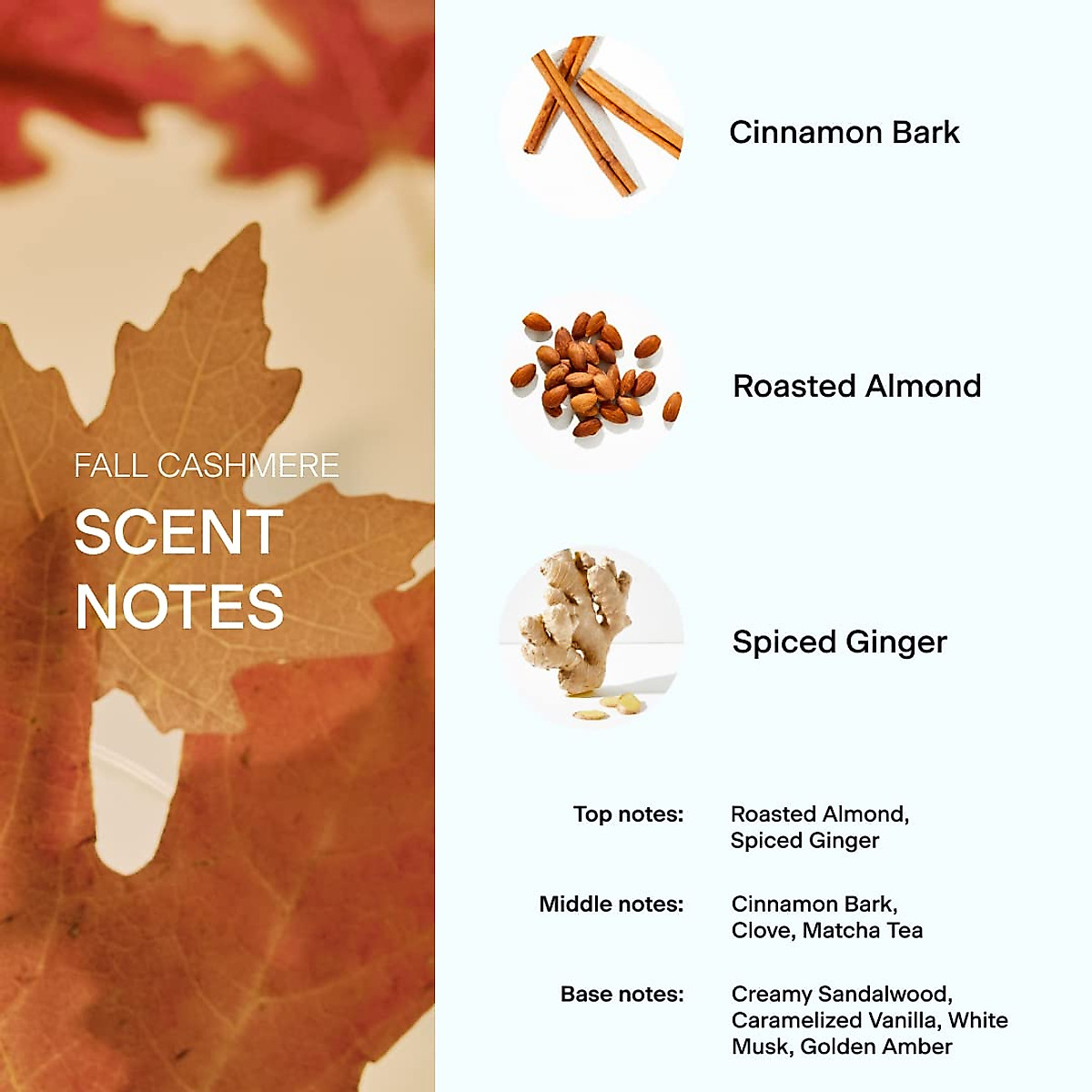 Skylar Fall Cashmere Eau de Parfum - Hypoallergenic & Clean Perfume for Women & Men, Vegan & Safe for Sensitive Skin - Spicy Gourmand Perfume with Notes of Cinnamon, Almond & Ginger - 10mL /0.33 Fl oz