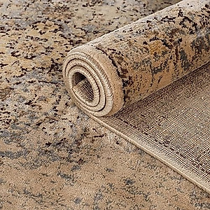 SUPERIOR Indoor Area Rug or Runner, Traditional Distressed Medallion Floor Decor, Home Accessories for Living Room, Bedroom, Office, Kitchen, Dining, Soft Plush Rugs, Maeve Collection, 8' x 10'