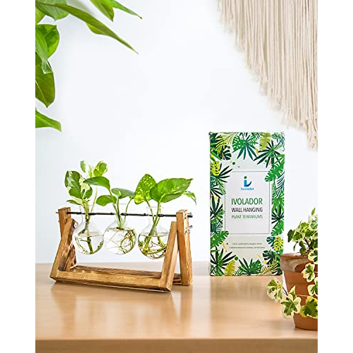 Ivolador Desktop Propagation Station, Bulb Plant Terrarium with Retro Solid Wooden Stand and Metal Swivel Holder for Hydroponics Plants Home Garden Wedding Decor (3 Bulb-C Type)