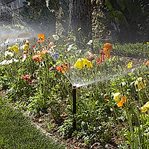 Replacement Pop up Rainbird Sprinkler Heads, 16PCS Adjustable Sprinkler Nozzle Variable Arc Nozzle Irrigation Drippers Sprinklers 9.8 Feet Compatible with Hunter, Orbit Pop-up Sprinklers, (10 Van)