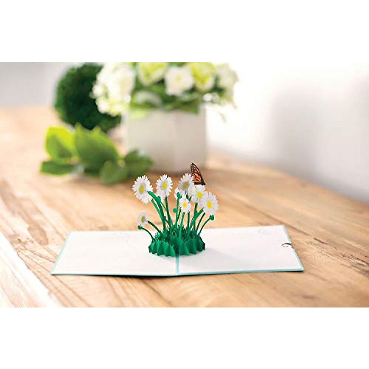 Lovepop Daisy Patch Pop Up Card - 3D Card, Greeting Card, Flower Card, Anniversary Card, Mother's Day Card, Birthday Card, Appreciation Card (Retiring Design)