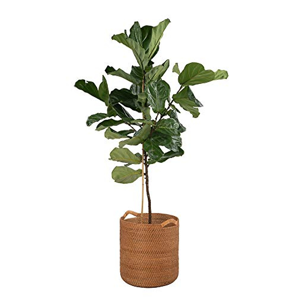 KOUBOO 1060095 Laguna Round Ear Handles, Honey-Brown Rattan Storage Basket