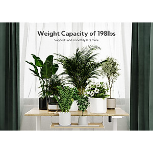 INNOVAR Electric Standing Desk, Solid Wood Adjustable Desk with Keyboard Tray, 48×24 Inch Stand up Home Office Desk with Whole-Piece Board, White Frame/Natural Top