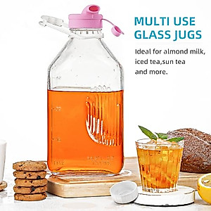 1/2 Gal Heavy Duty Glass Milk Bottle with Strong REUSABLE AIRTIGHT SCREW Lid - 2 Qt Glass Water Bottles - Glass Bottles with 8 Lids AND 8 Handles! - Glass Milk Jug Pitcher with 2 Exact Scale Lines
