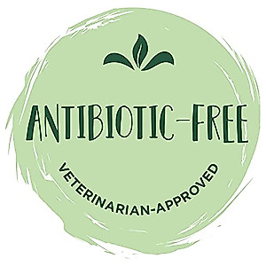 Dr Connies Gut Health | Supplement to Support Farm Animal Gut Barrier | Antibiotic-Free & Veterinarian-Developed | Increase Digestive Health Swine, Poultry, Calves