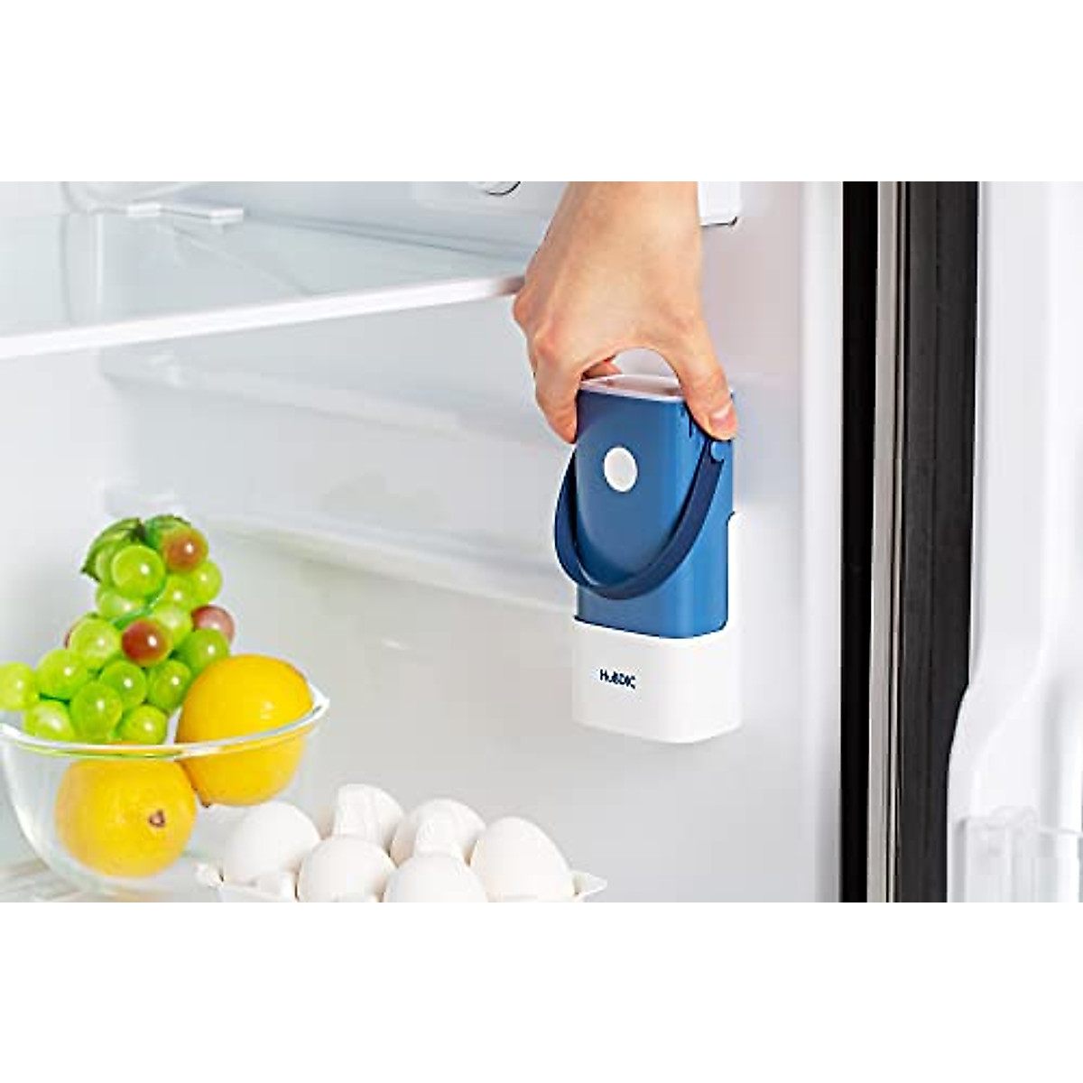 Multipurpose Deodorizer │Air Ionizer with Negative Ion to Remove Odors in Refrigerator, Shoe Closet, Bathroom, Wardrobe, Car, and Pet Litters │ Portable Air Purifier and Cleaner (Blue)