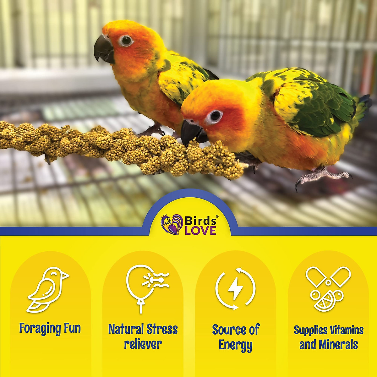 Birds LOVE Economy & Thin Special Spray Millet GMO-Free (No Stems Only Edible Tops) for Birds Cockatiel Lovebird Parakeet Finch Canary All Parrots Healthy Treat - 7oz