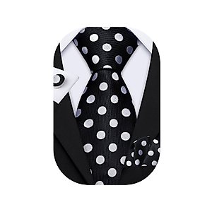 Barry.Wang Men's Fashion Polka Dot Woven Tie Set Black