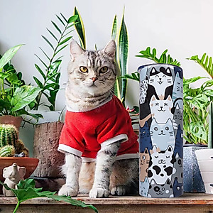 IchDich Cat Tumbler With Lid and Straw - 20 oz Insulated Stainless Steel Tumbler - Travel Mug and Wine Cups for Cat Lovers Gifts