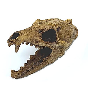 Screaming Aztec Death Whistle - Carnivore