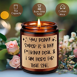 Fairy's Gift Sober Candle, Sobriety Gifts for Women Men, Funny Gifts for Sobriety, Sober Gifts for Women Men, Sobriety Anniversary Recovery Gifts, Sober Anniversary Congratulations Gifts for Him, Her