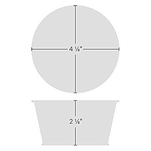 BUZZY Mini Basin Seed Grow Kit | Polka Dot Plant | Painted Garden Collection | Best Gardening Gifts, Favors, Weddings, Parties, Events, Modern, Trendy, Unique, and Fun | Growth Guaranteed