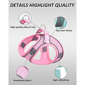 Solmoony Dog Harness for Small Medium Large Dogs No Pull, Puppy Harness and Leash Set, Puppy Harness for Small Dogs, Step in Harness for Small Dogs, Small Dog Harness, mesh Dog Harness. (Pink, XS)