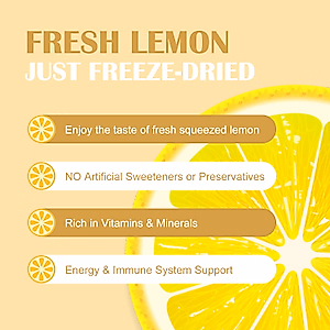 Grelim Lemon Powder 11.30 Oz, 100% Lemon Juice Freeze Dried Powder, Filler Free, Gluten-Free, Rich in Natural Vitamin C Fresh Squeezed Lemon Flavor Great for Beverages, Smoothies 320g