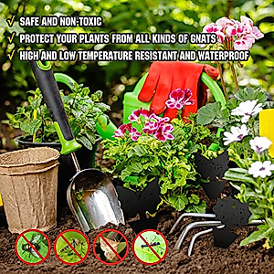 USKICH Sticky Traps Gnat Killer Fruit Fly Traps Non-Toxic and Odorless Fungus Gnat Traps Insect Traps Black Sticky Trap for Indoor and Outdoor Plants（48Pcs Black）