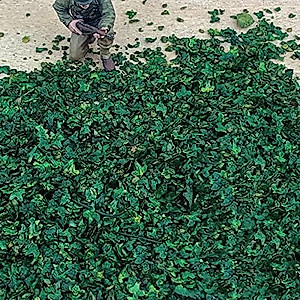 Realistic Miniature Leaves Simulation Leaves for DIY Mini Model Railway Fairy Garden Architecture Diorama Scenery Landscape Layout, Pack of 4